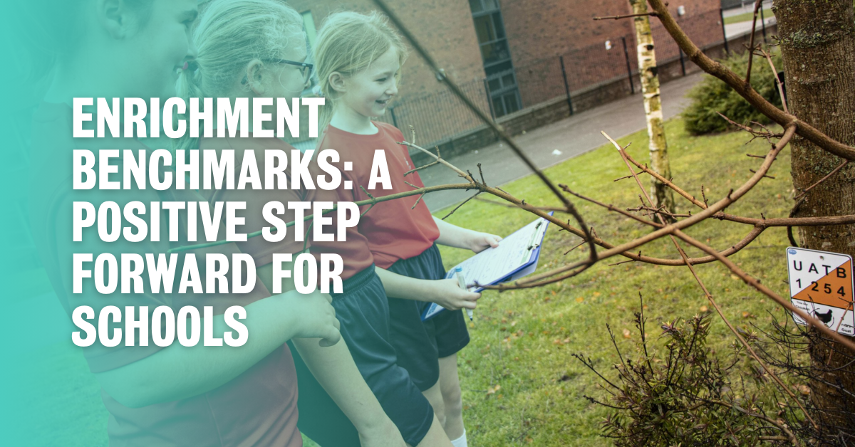 Enrichment benchmarks: A positive step forward for schools and young ...